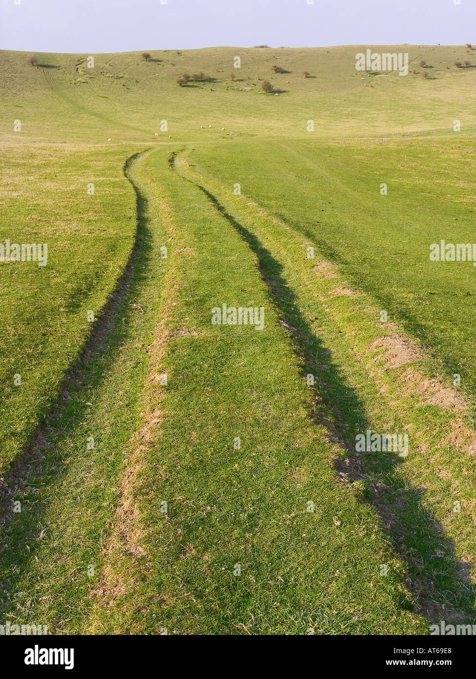 england buckinghamshire the chilterns the ridgeway path ivinghoe beacon ...