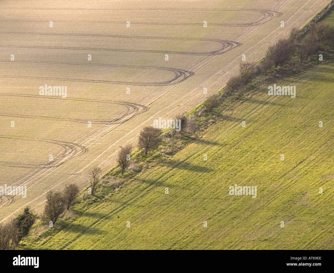 england buckinghamshire the chilterns the ridgeway path ivinghoe beacon ...