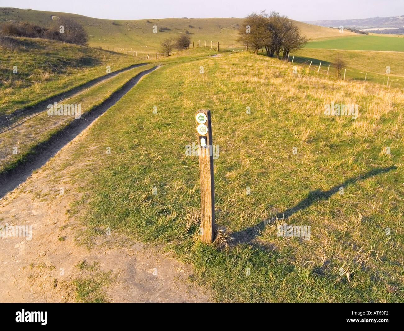 england buckinghamshire the chilterns the ridgeway path ivinghoe beacon ...