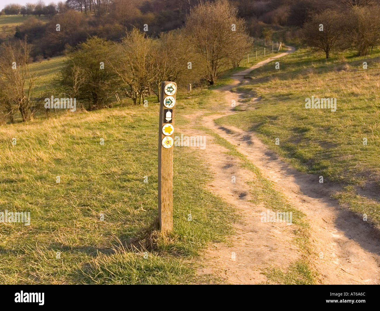 the ridgeway path the chilterns buckinghamshire england Stock Photo - Alamy