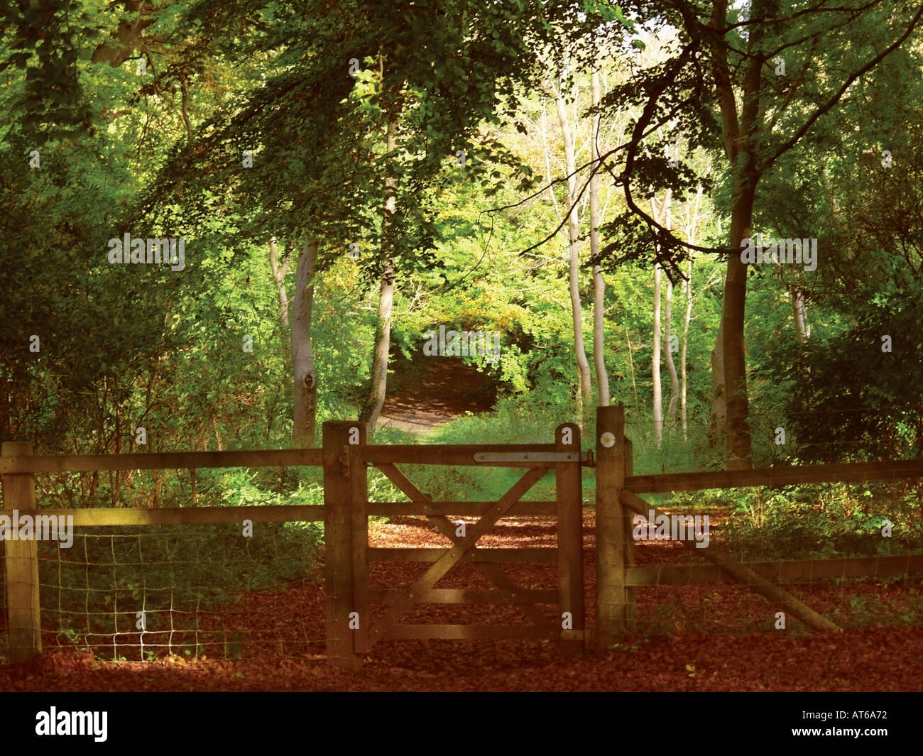 gate and footpath whiteleaf hill the ridgeway path the chilterns ...