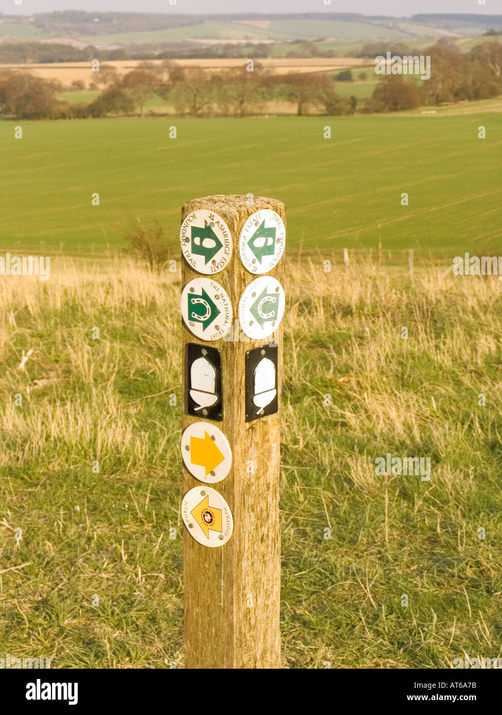 england buckinghamshire the chilterns the ridgeway path ivinghoe beacon ...