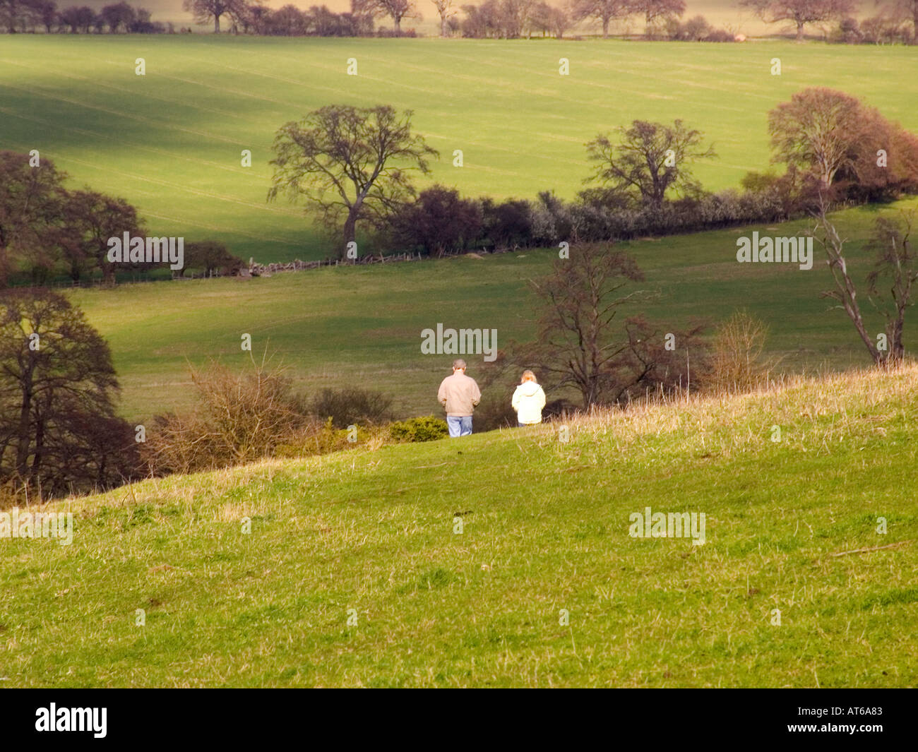 england buckinghamshire the chilterns the ridgeway path ivinghoe beacon ...