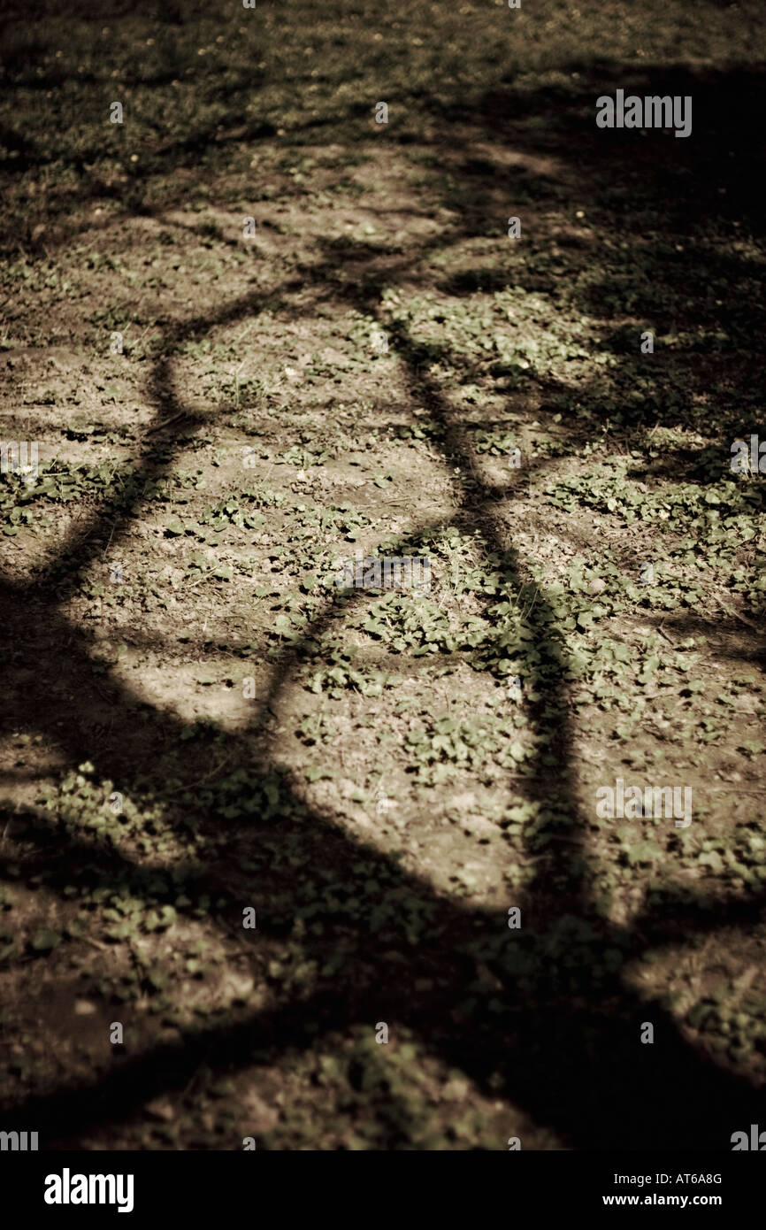 Shadow on person tree abstract hi-res stock photography and images - Alamy