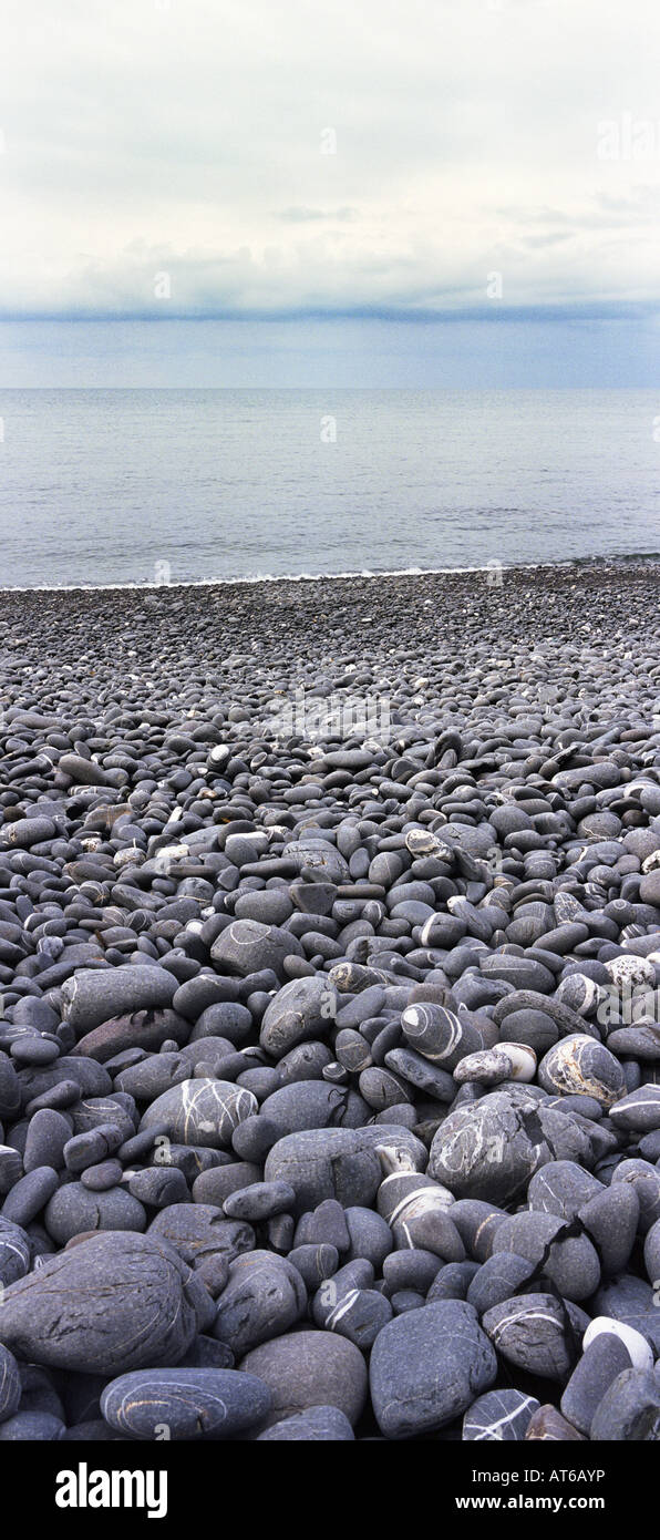Pebbles on Millook beach, Cornwall, UK Stock Photo - Alamy