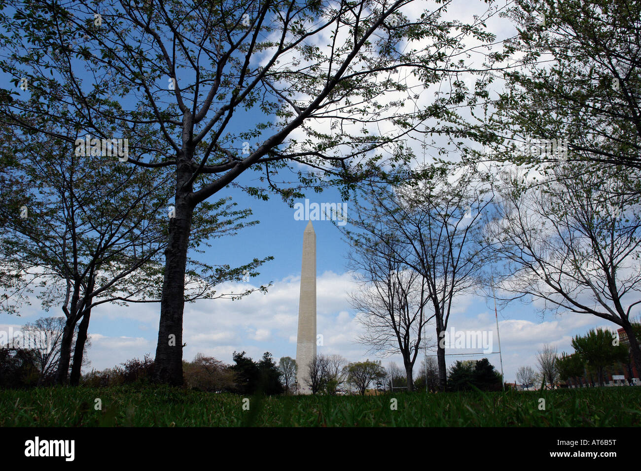 Washington Monument and Trees in Washington DC USA Stock Photo - Alamy