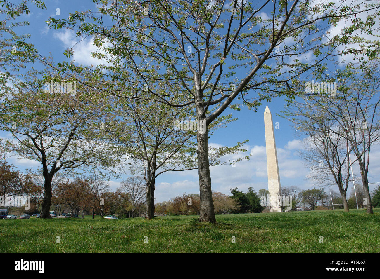 Washington Monument and Trees in Washington DC USA Stock Photo - Alamy