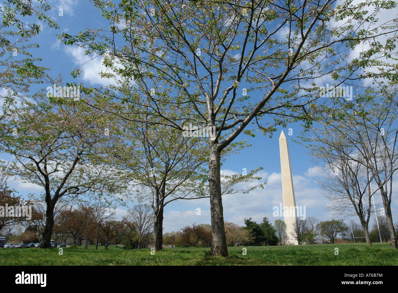 Washington Monument and Trees in Washington DC USA Stock Photo - Alamy