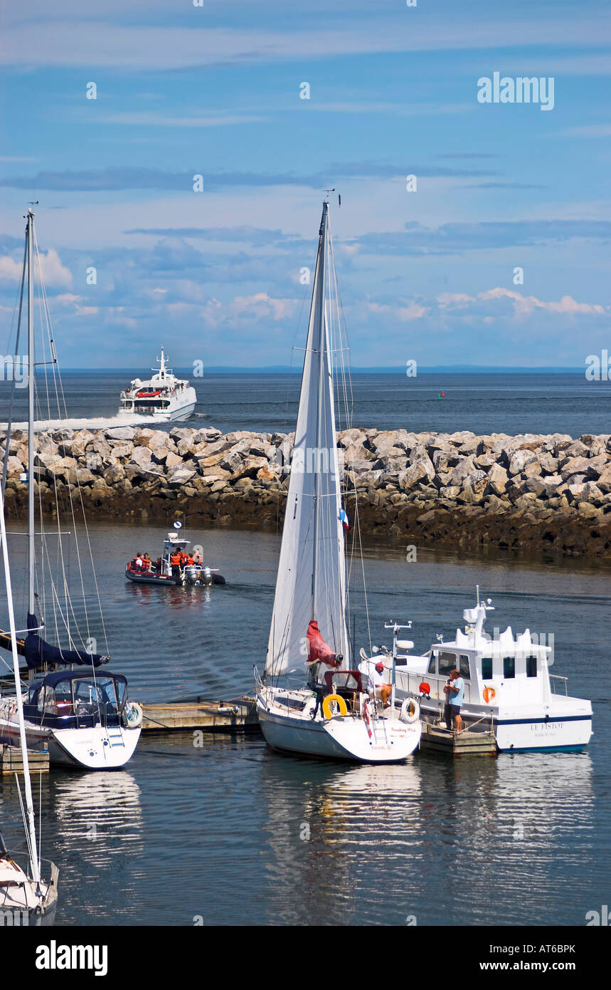 Pneumatic boat loaded with tourists leaving Rimouski marina for an ...
