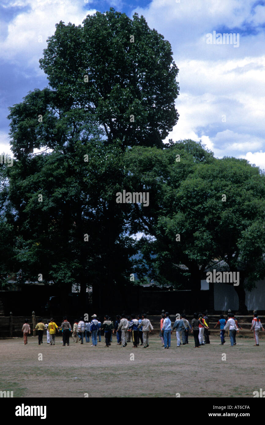 Many high school students doing exercise in a playground under a big ...