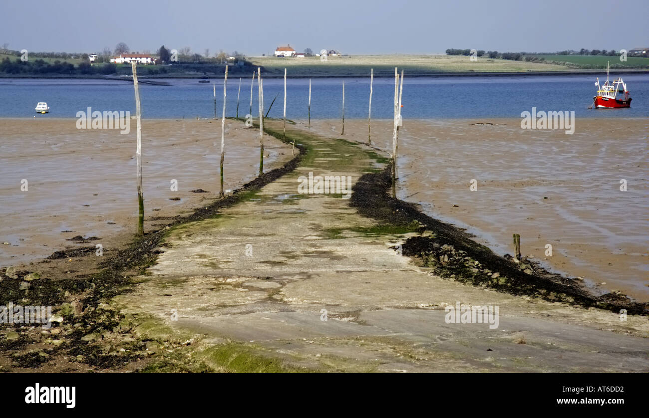 england essex kent thames estuary Harty Ferry near faversham Stock ...