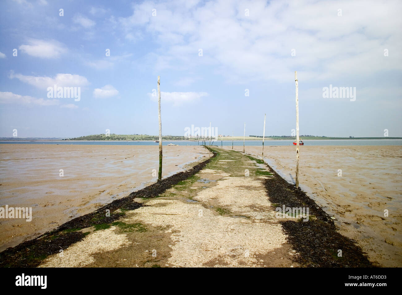 england essex kent thames estuary Harty Ferry near faversham Stock ...