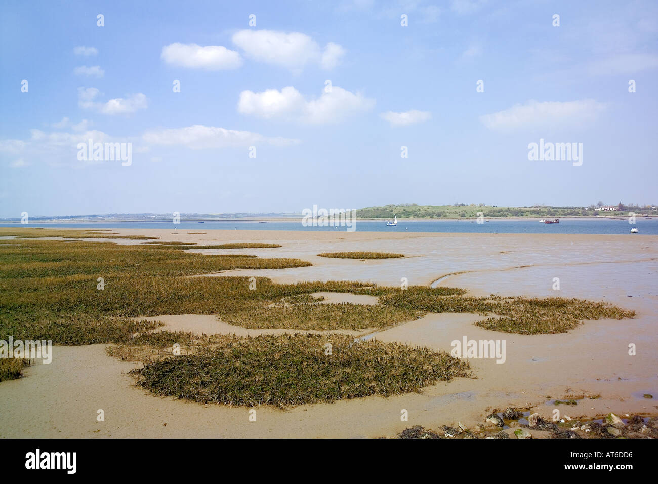 england essex kent thames estuary Harty Ferry near faversham Stock ...