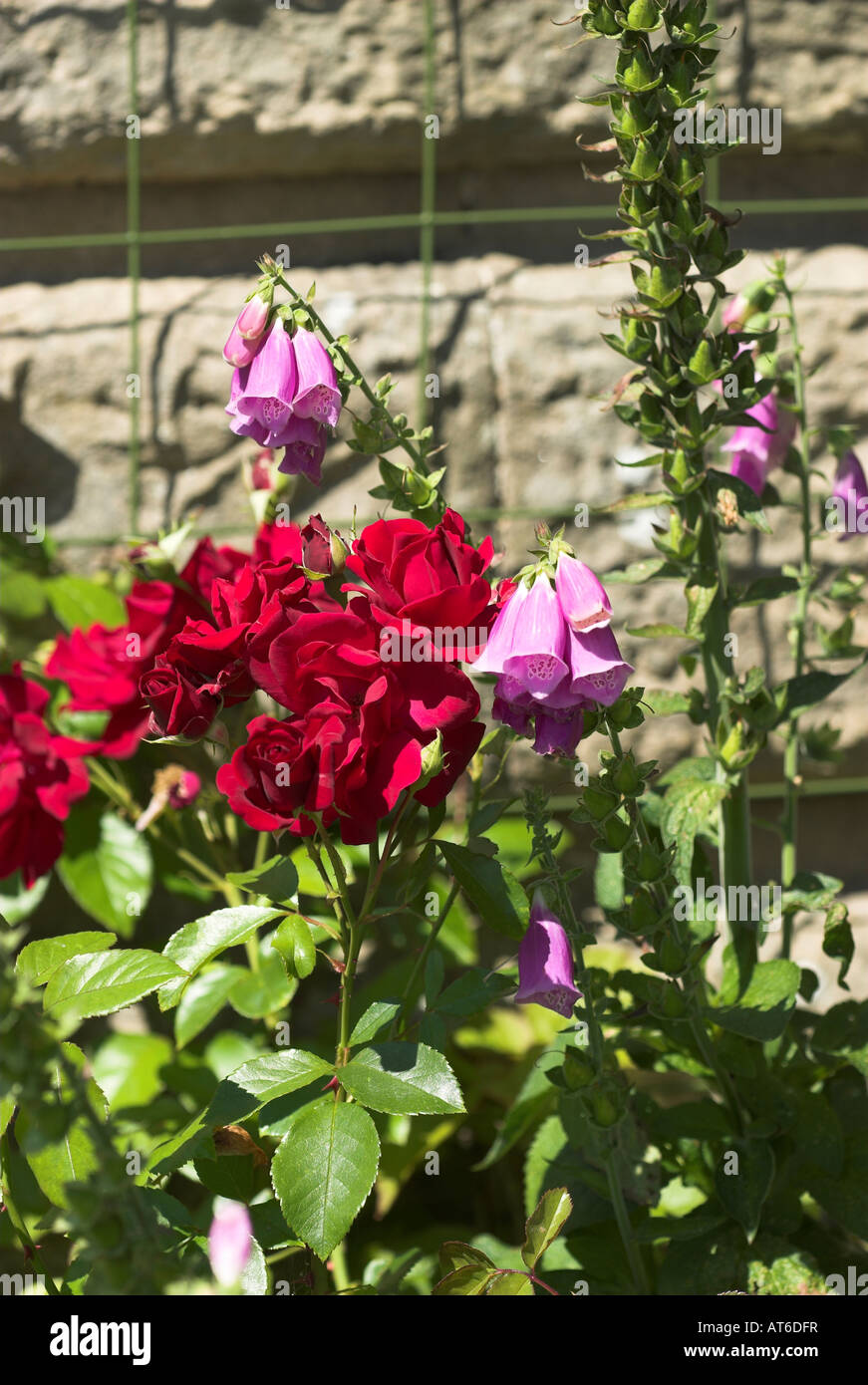 Mellerstain hi-res stock photography and images - Alamy