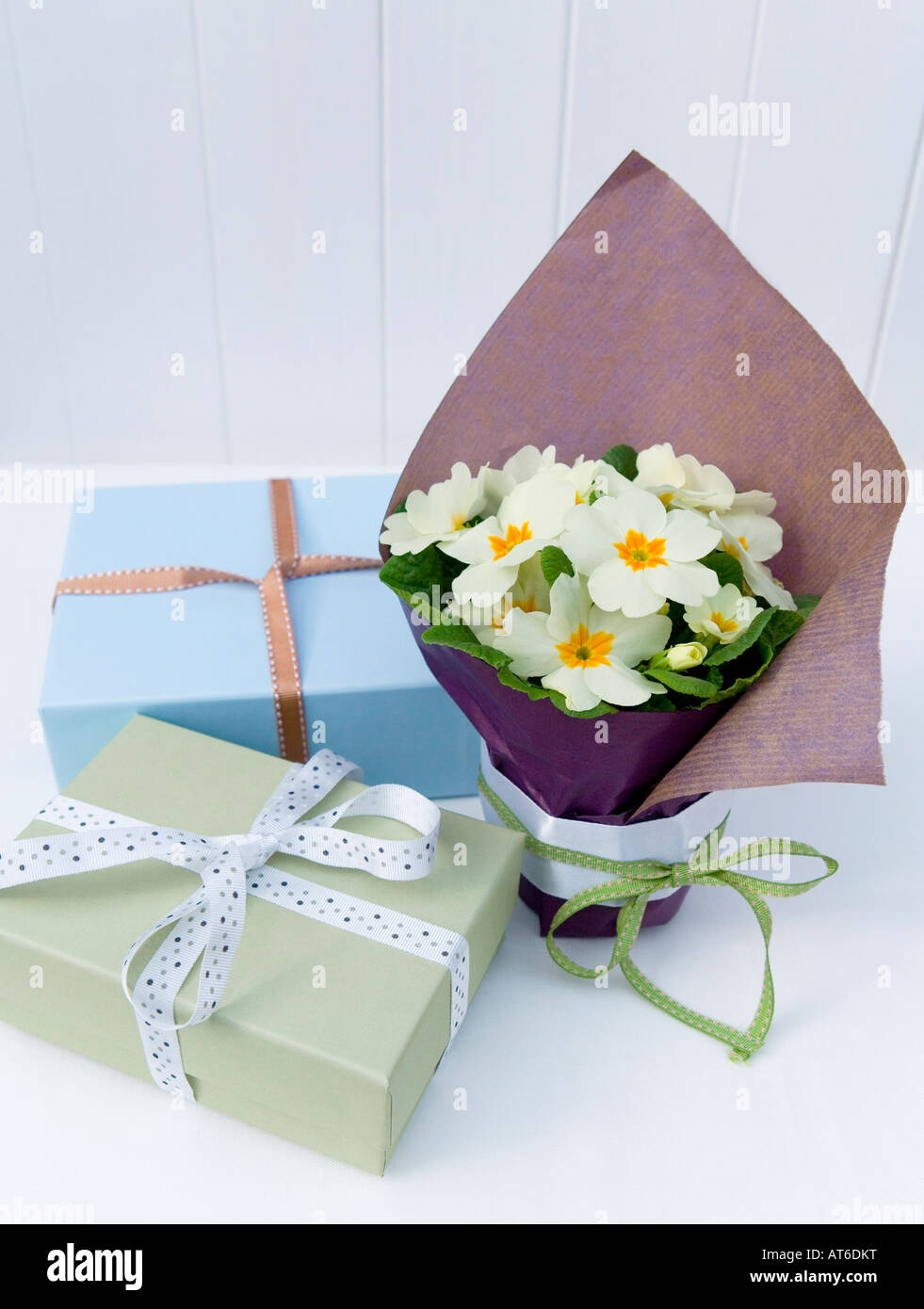 Gift wrapped pot plants hi-res stock photography and images - Alamy