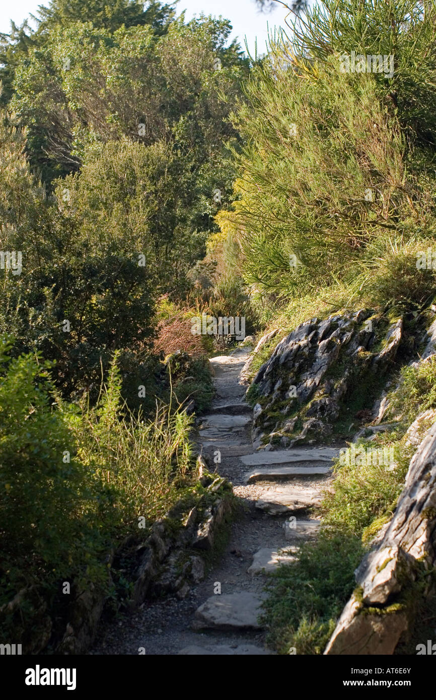 A hidden path cut ou of the rock in the grounds of Muckross House ...