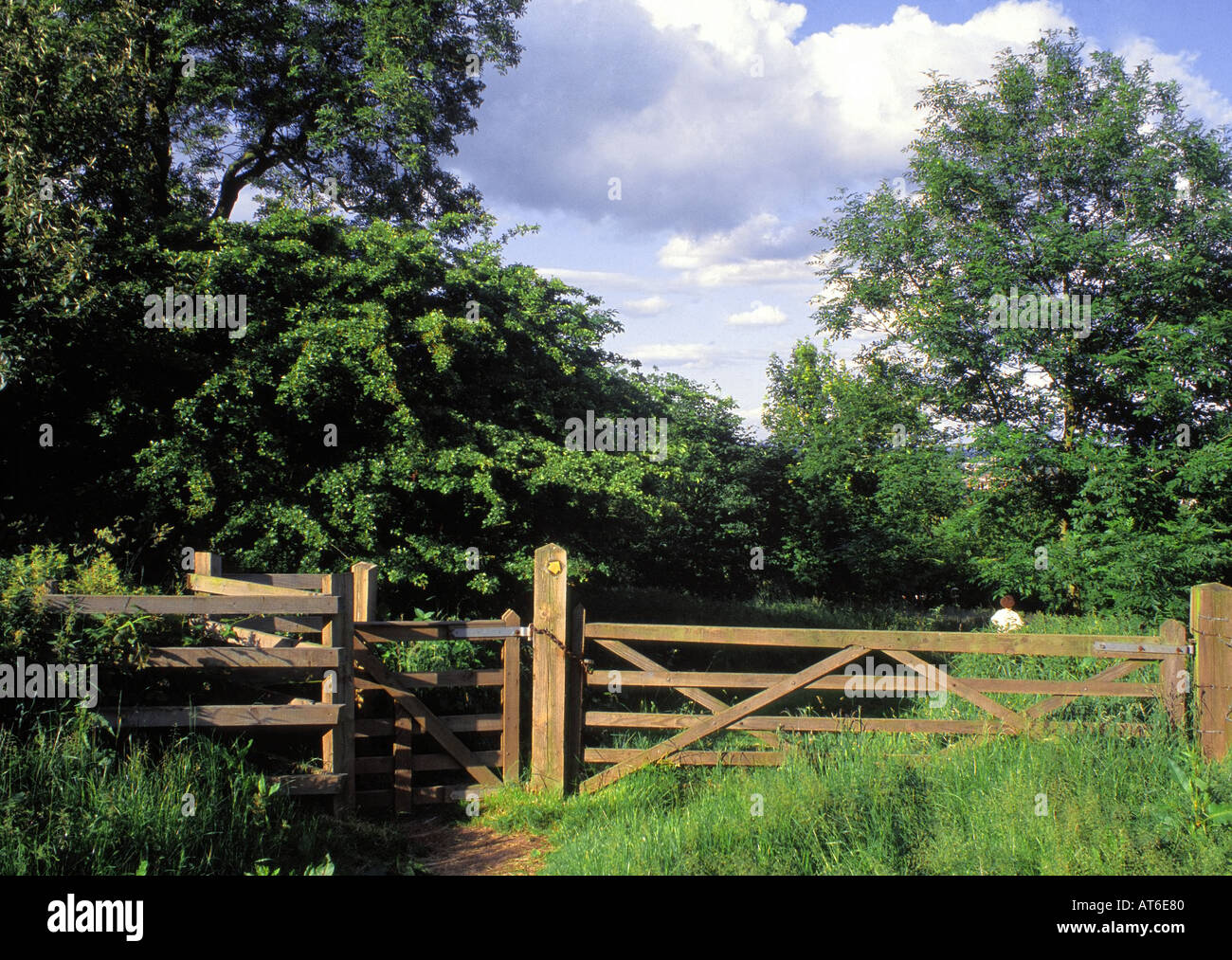 Waseley country park hi-res stock photography and images - Alamy