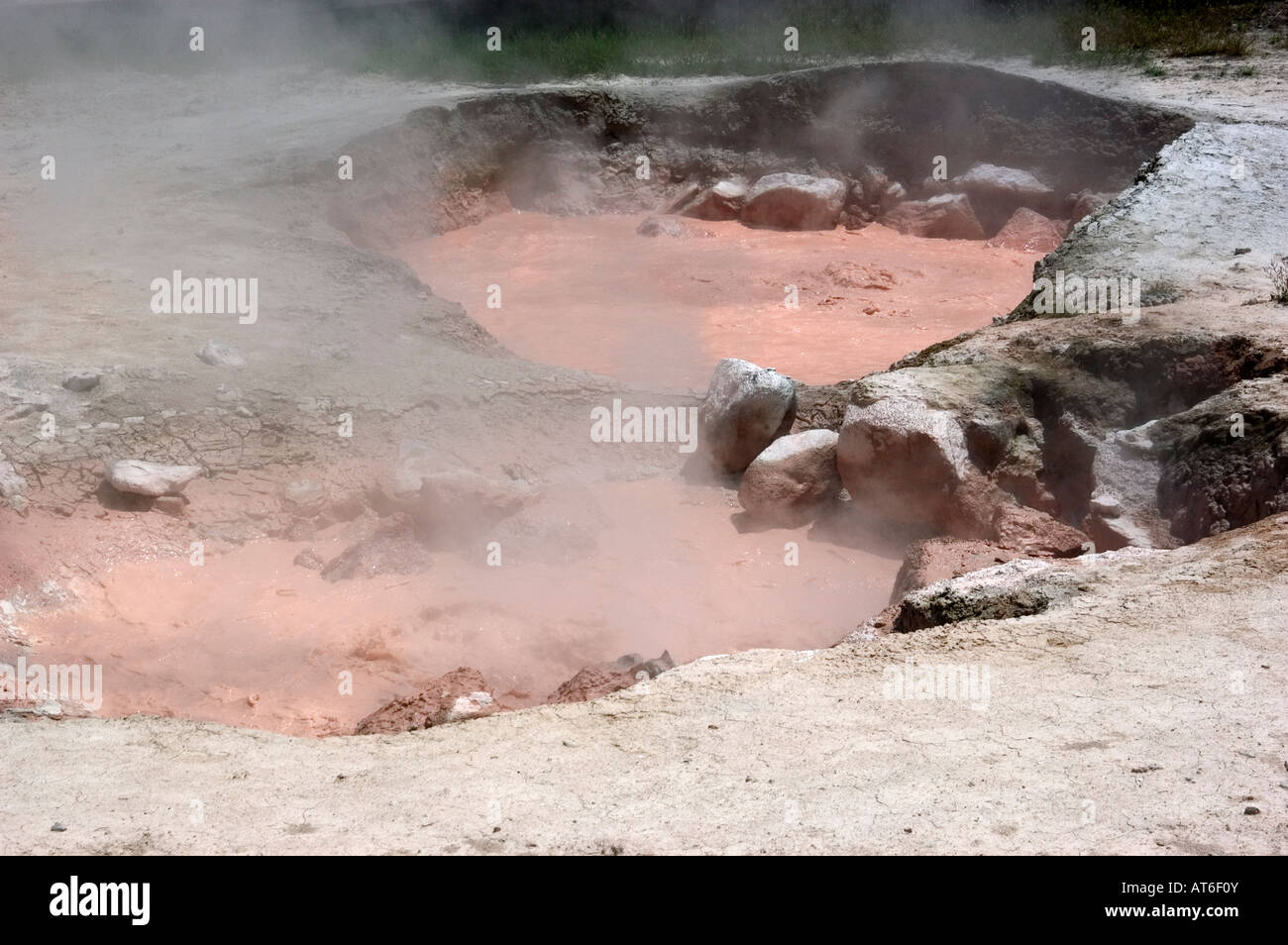 Algae make a hot springs red in Lower Geyser Basin in Yellowstone ...