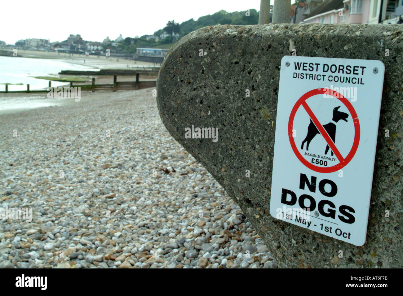 NO Dogs Permitted sign at Seaside English Beach Stock Photo - Alamy