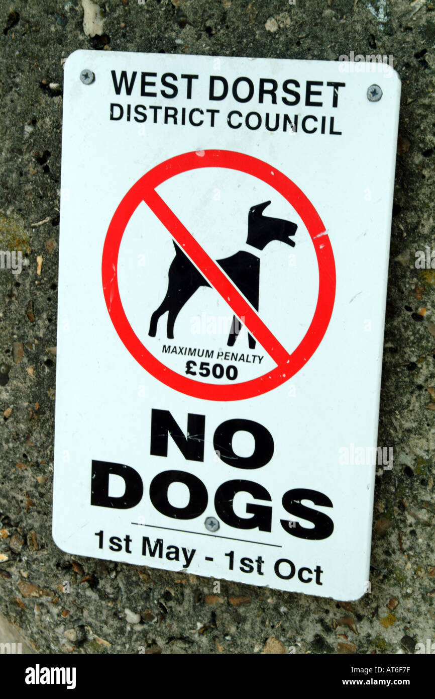 NO Dogs Permitted sign at Seaside English Beach Stock Photo - Alamy