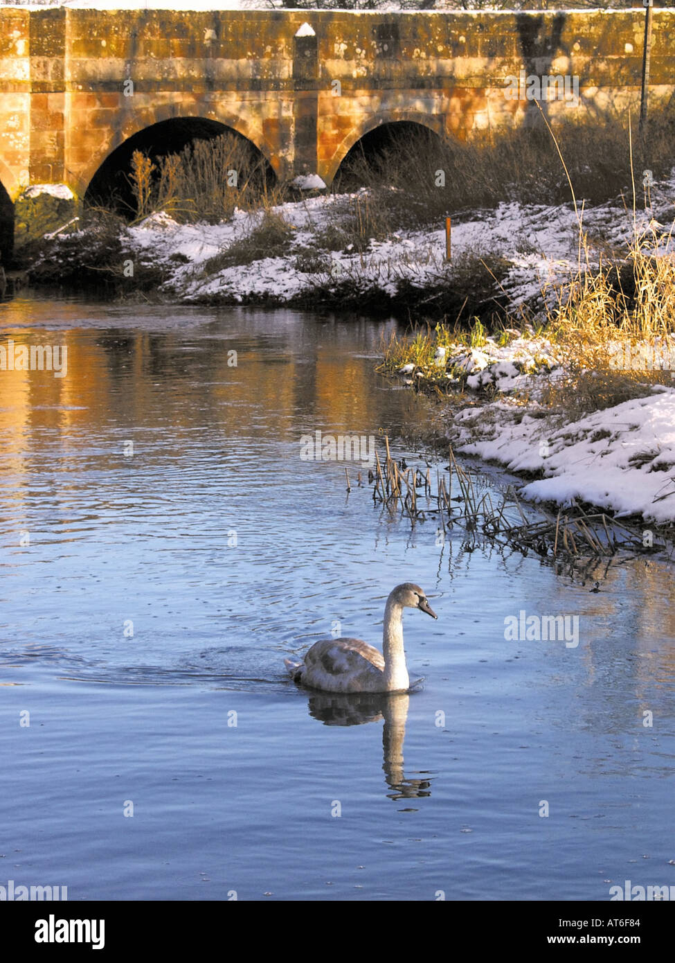 warwickshire river blythe dukes bridge david martyn hughes Stock Photo ...