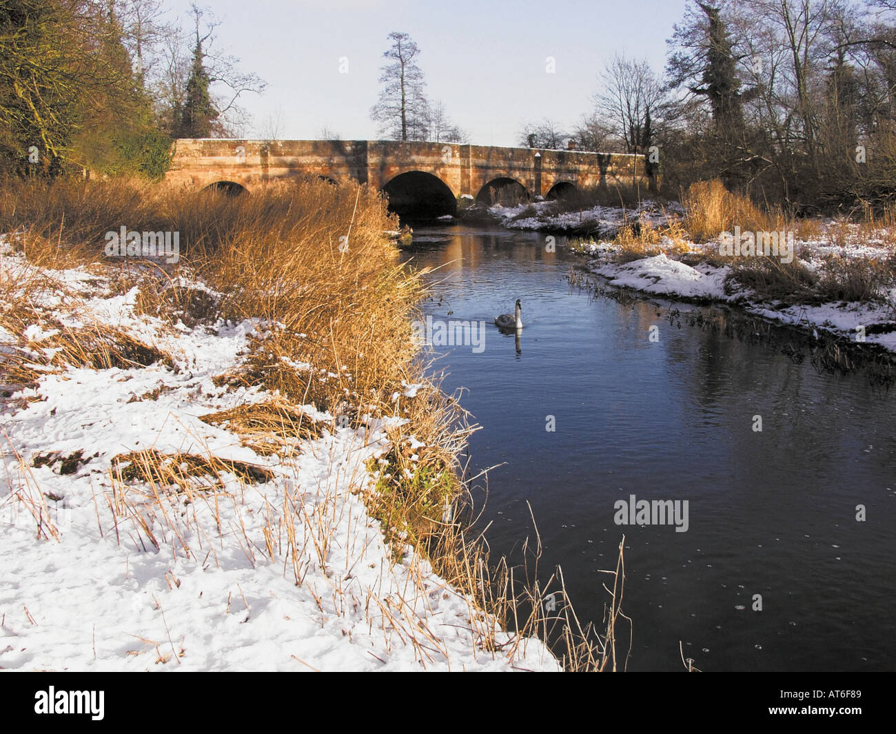 warwickshire river blythe dukes bridge david martyn hughes Stock Photo ...