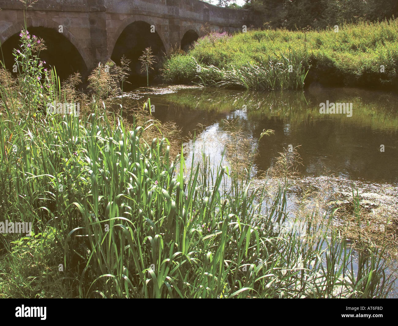 warwickshire river blythe dukes bridge nr coleshill david martyn hughes ...