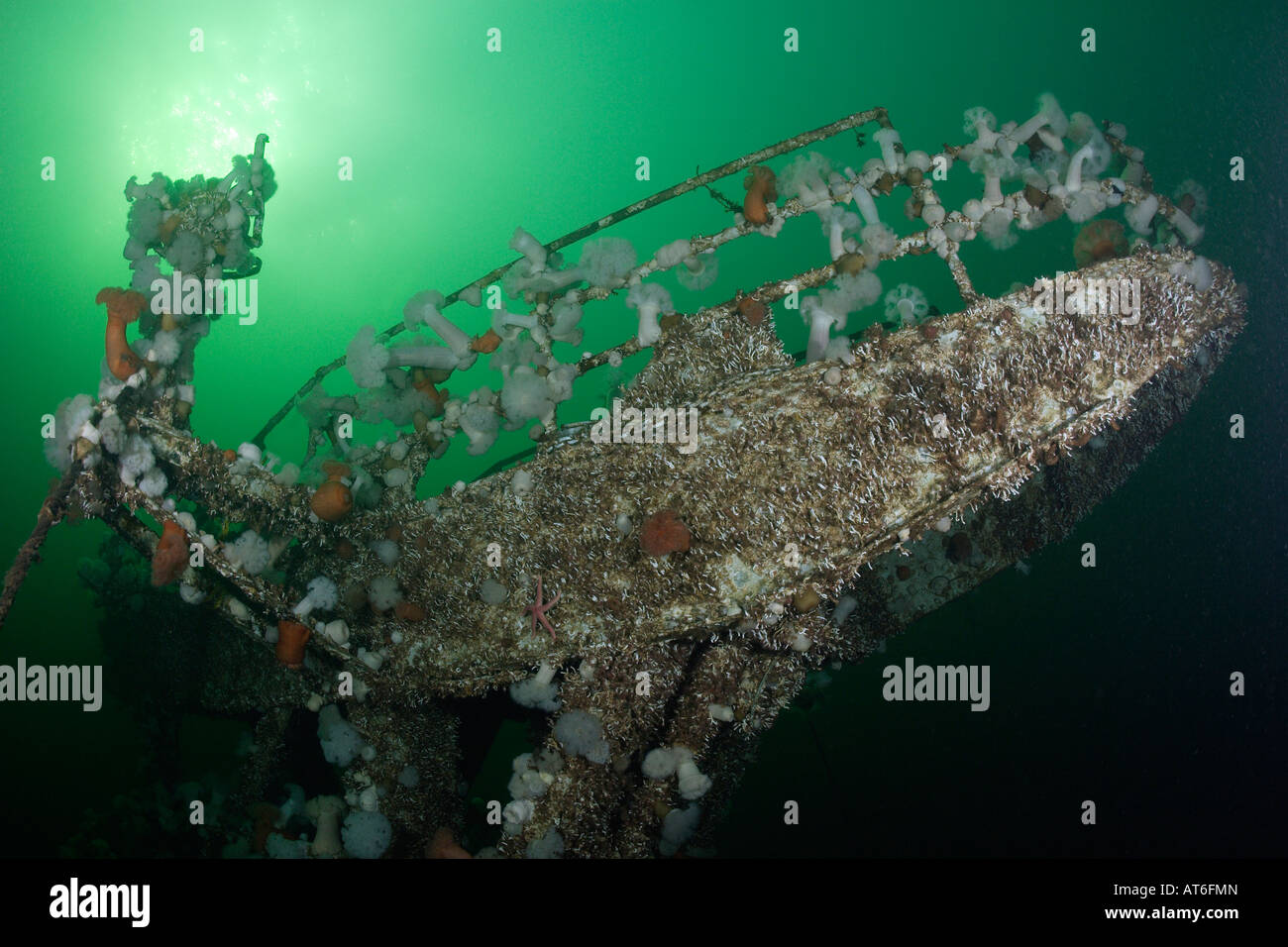 Hmcs brandon hi-res stock photography and images - Alamy