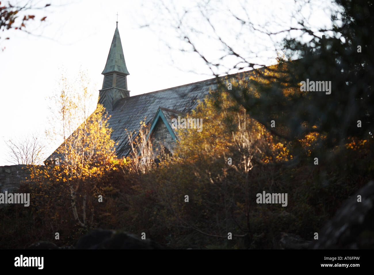 Church Abbey Through Field in Killarney National Park, County Kerry ...