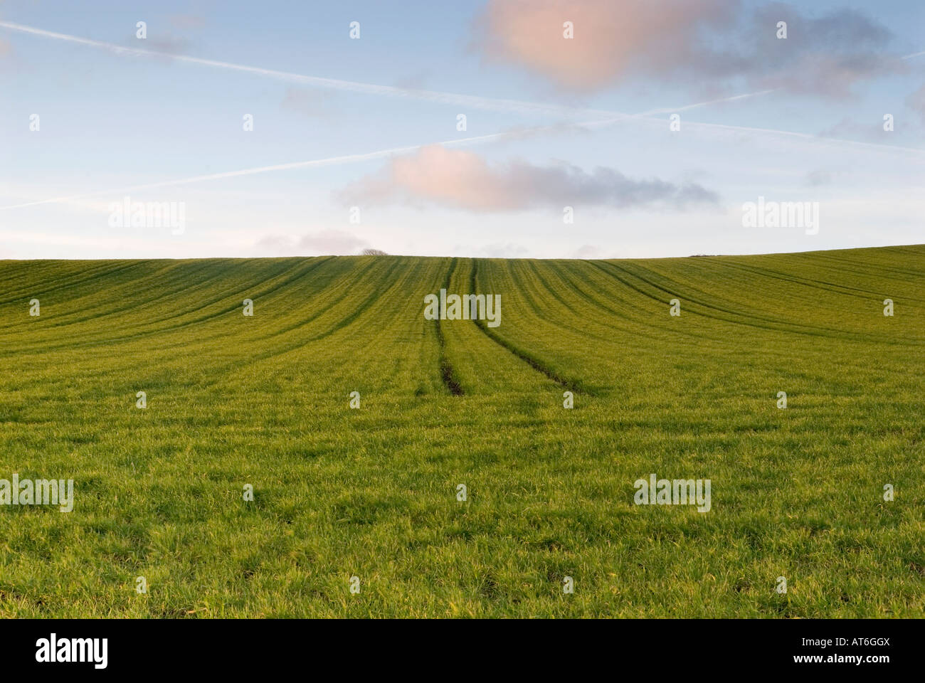 Field grass arable fields hi-res stock photography and images - Alamy