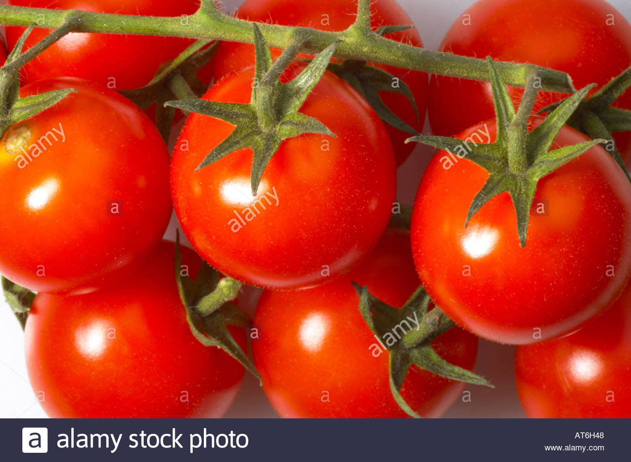 Trusses tomato green red hi-res stock photography and images - Alamy