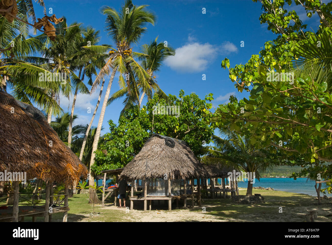 a typically FALE on beach beachfale SAMOA UPOLU namua island NE ...
