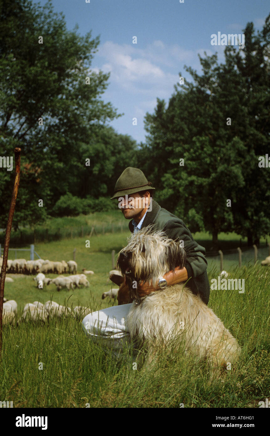 Sheepherder hi-res stock photography and images - Alamy