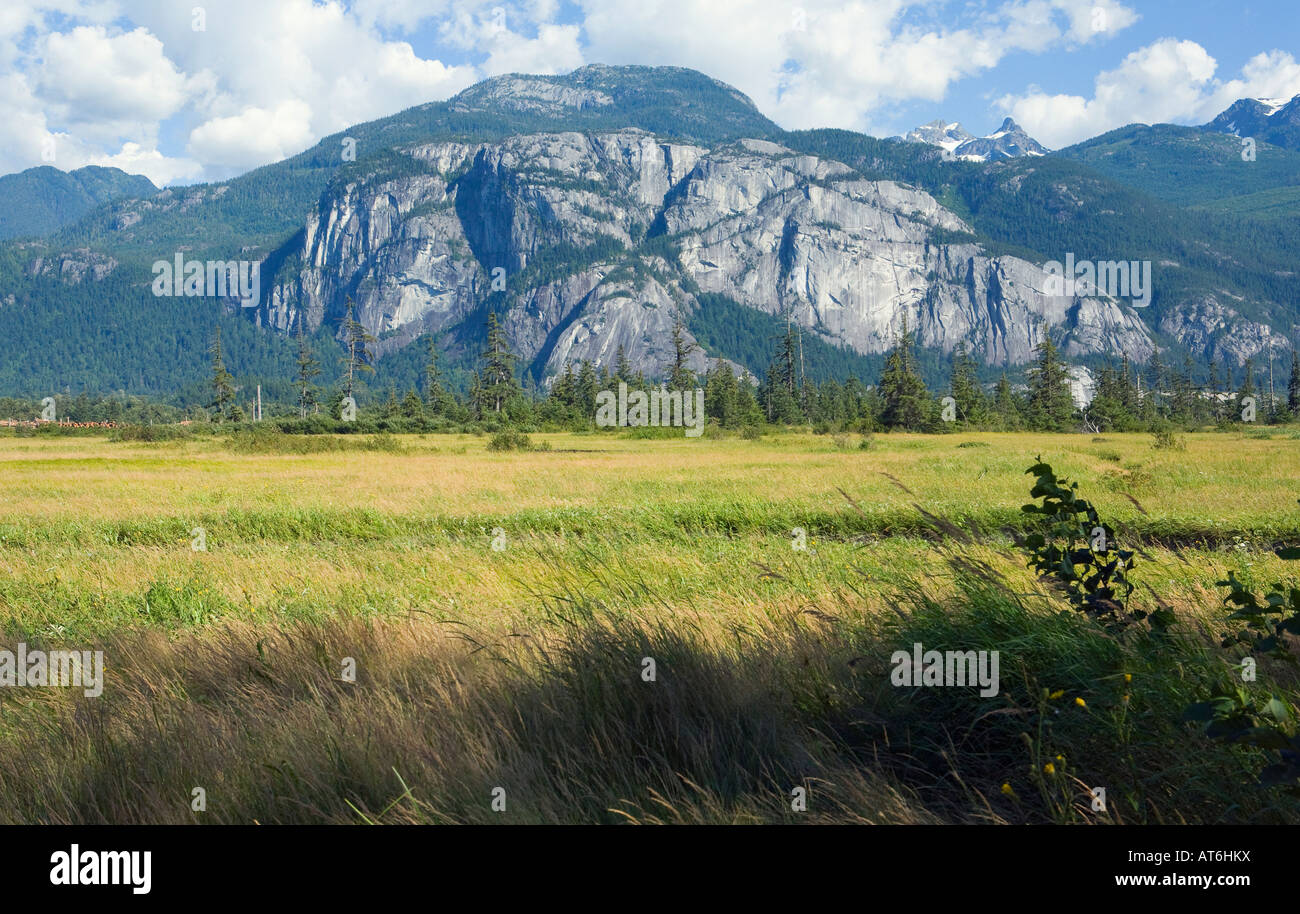 Stawamus chief mountain hi-res stock photography and images - Alamy