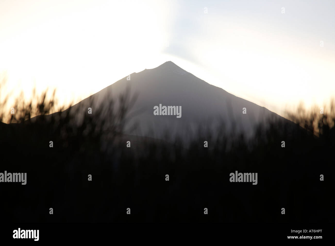 looking through vegetation at sunsetting over mount teide with shadow ...