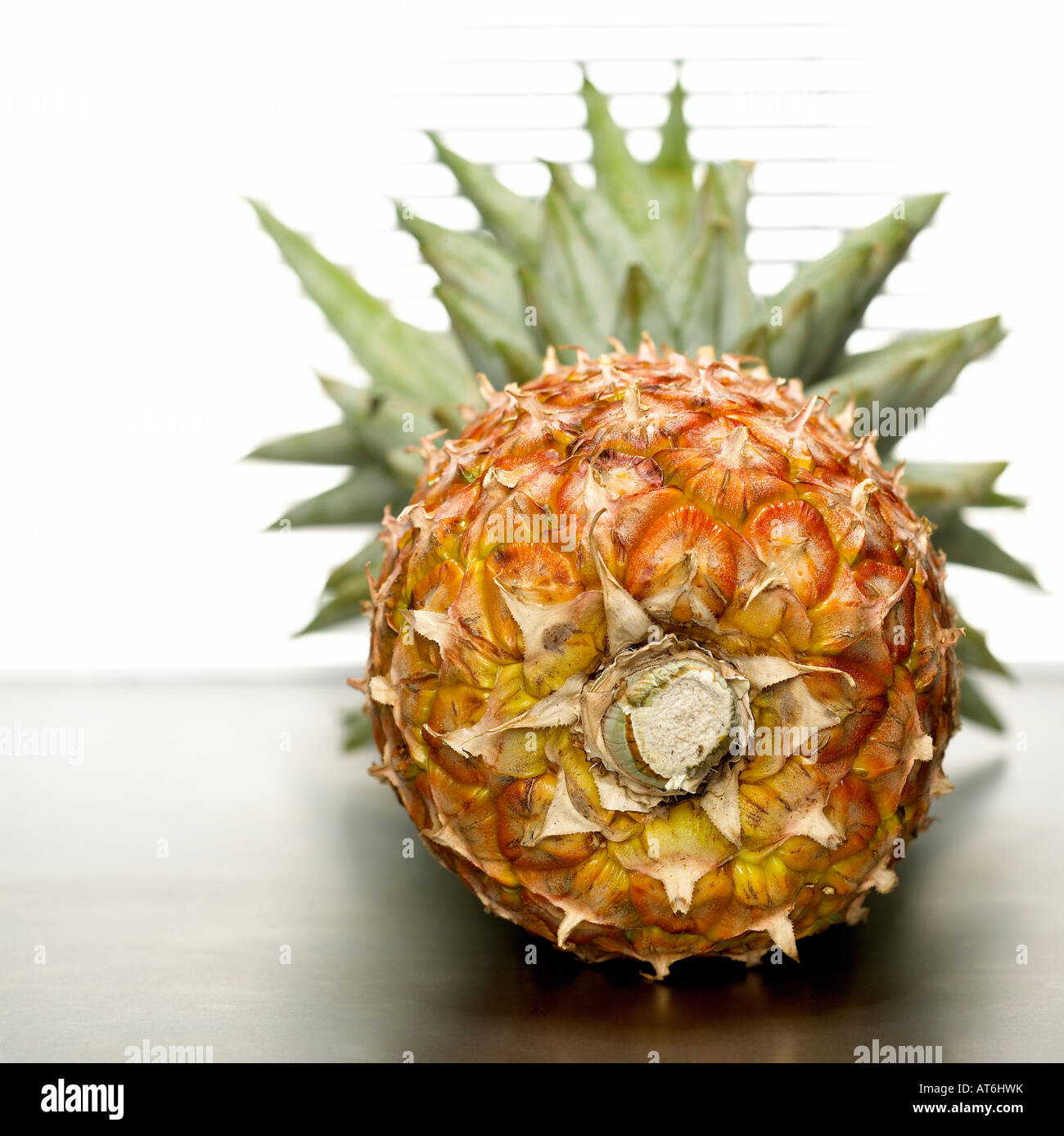 Pineapple photos hi-res stock photography and images - Alamy