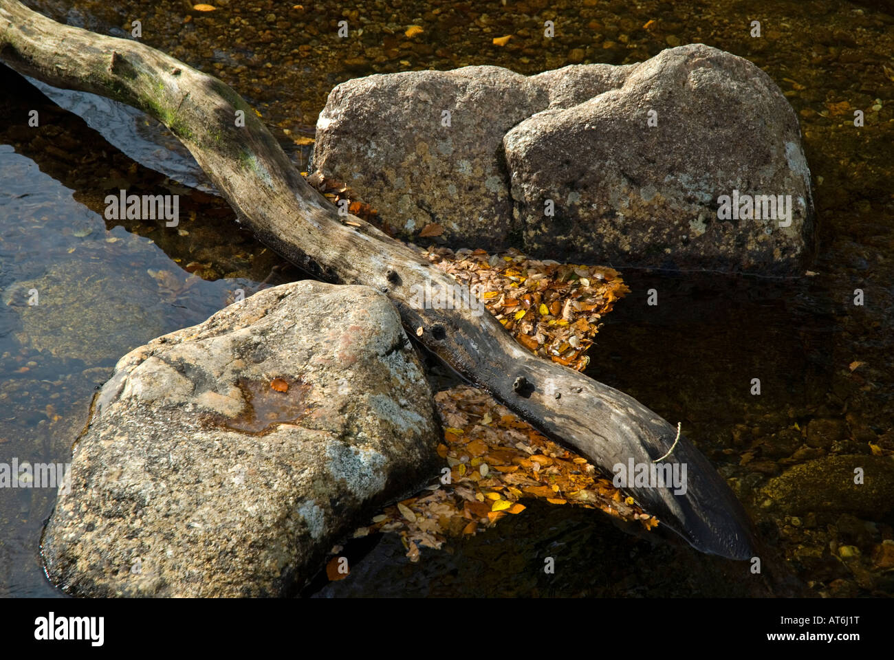 Badgers Holt on the River Dart Dartmoor National Park Devon England ...