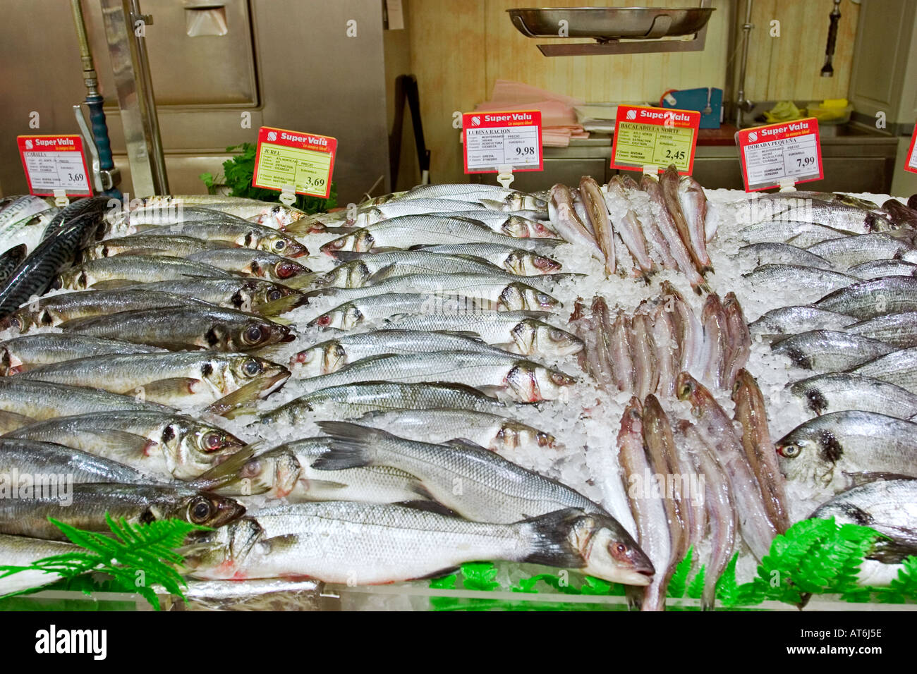 Fresh fish counter in Spanish supermarket Stock Photo - Alamy
