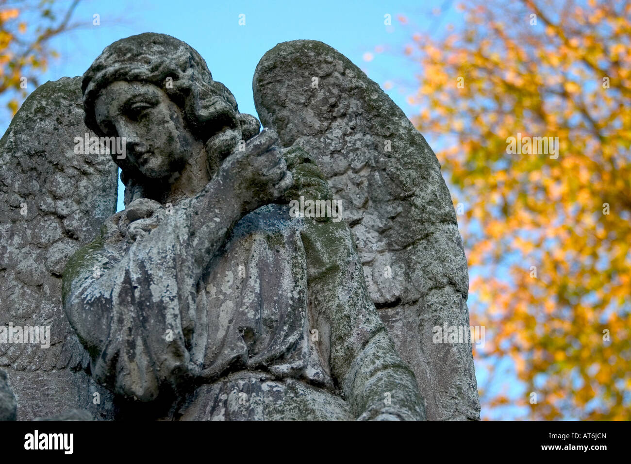 Brompton cemetery angel hi-res stock photography and images - Alamy