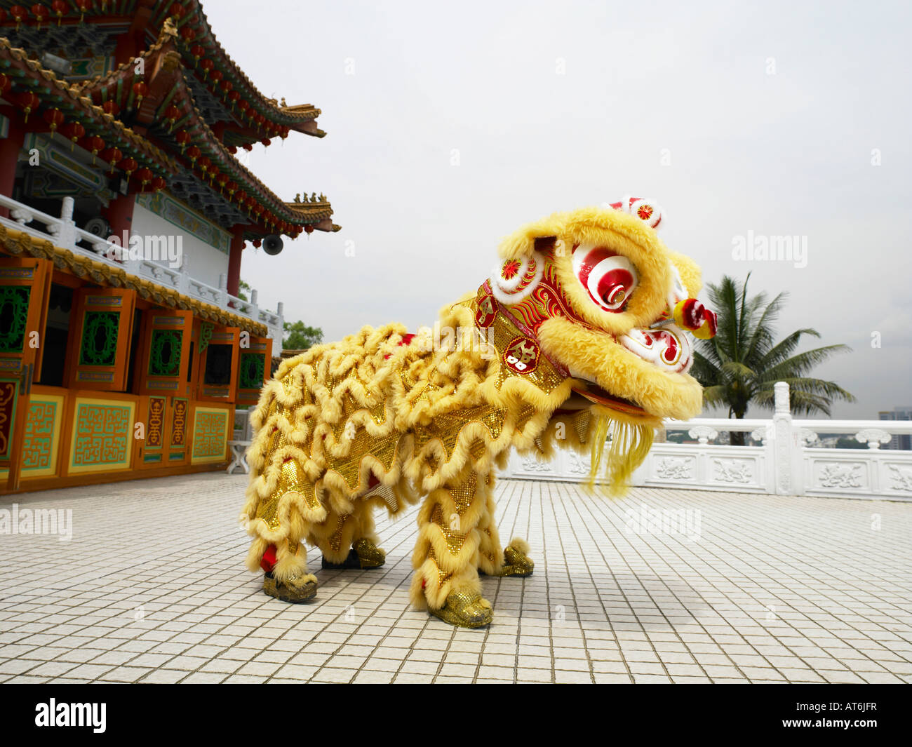 Side View Lion Dance Performer High Resolution Stock Photography and ...