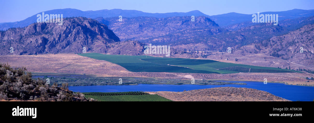 Irrigated crops desert hi-res stock photography and images - Alamy