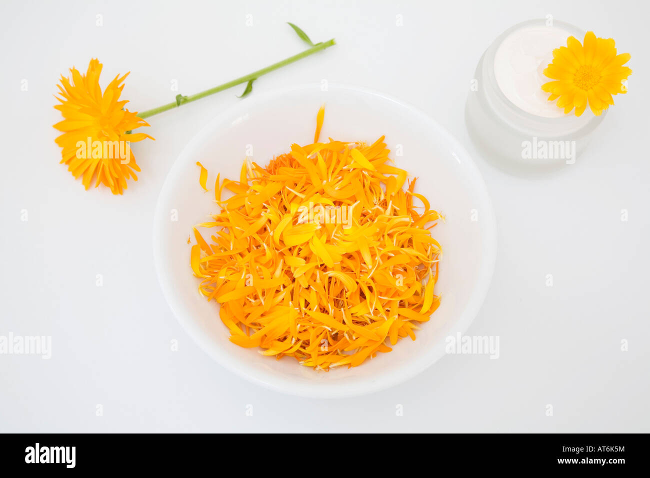 Marigold cream hi-res stock photography and images - Alamy