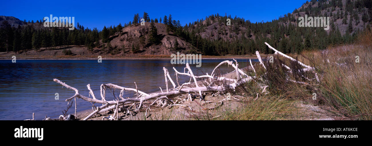 Mahoney lake okanagan hi-res stock photography and images - Alamy