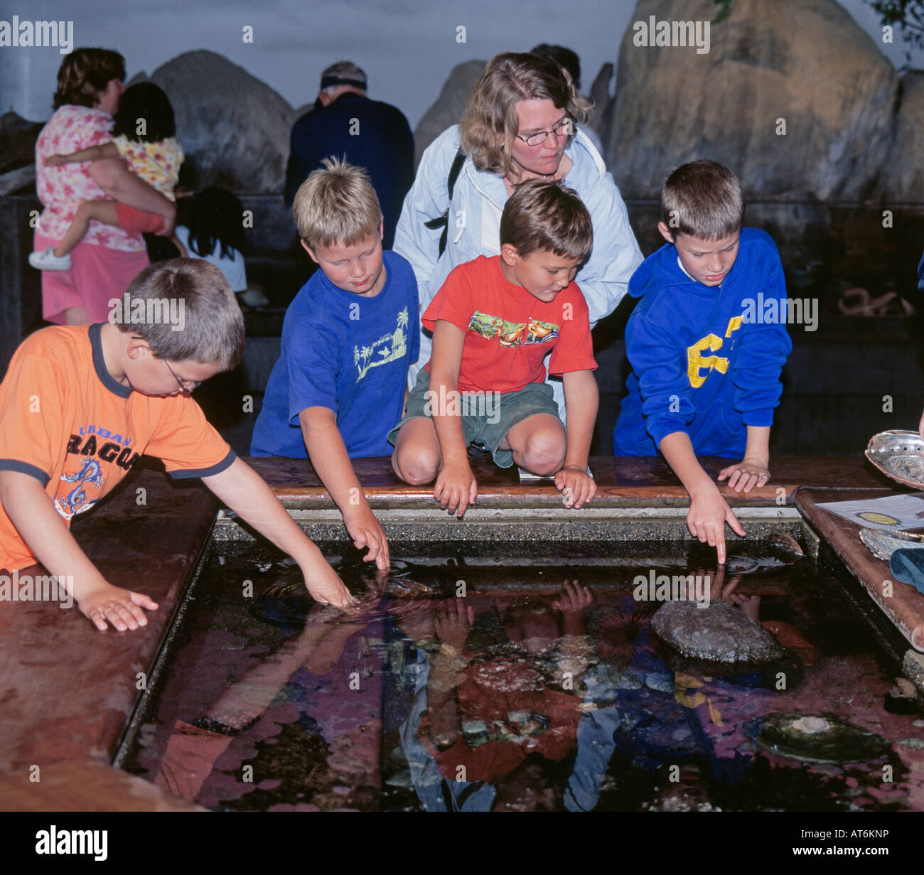 Newport Oregon Coast Aquarium Pacific High Resolution Stock Photography ...