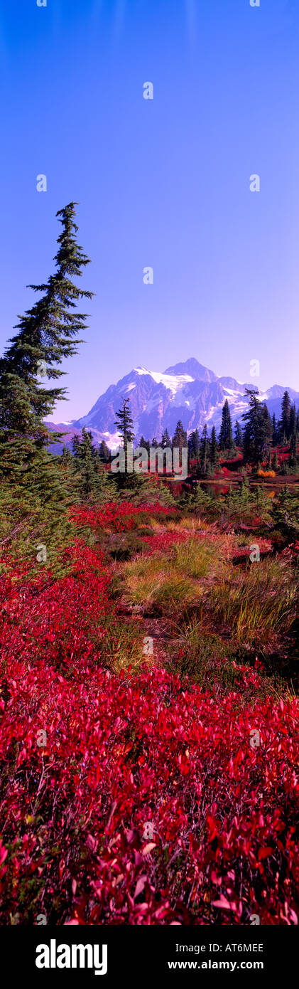 Heather meadows recreation area hi-res stock photography and images - Alamy
