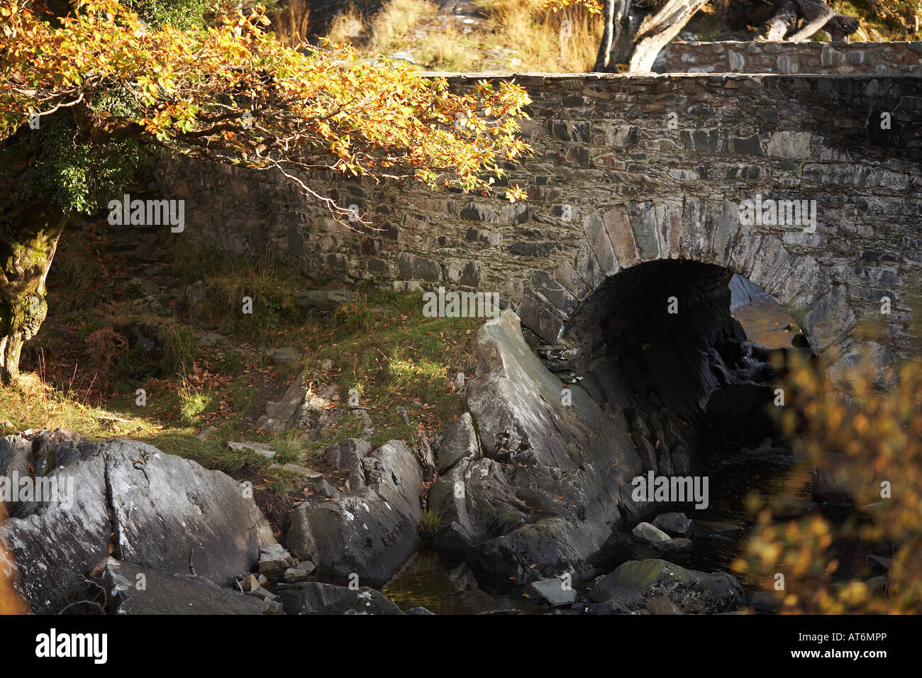 Stone Bridge and River in Killarney National Park, County Kerry ...
