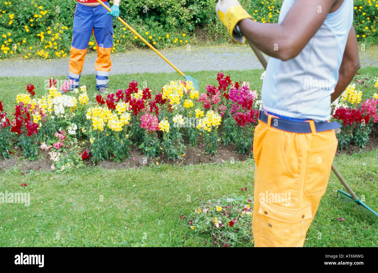 Park workers tending flowers in one of the public gardens in Trondheim ...