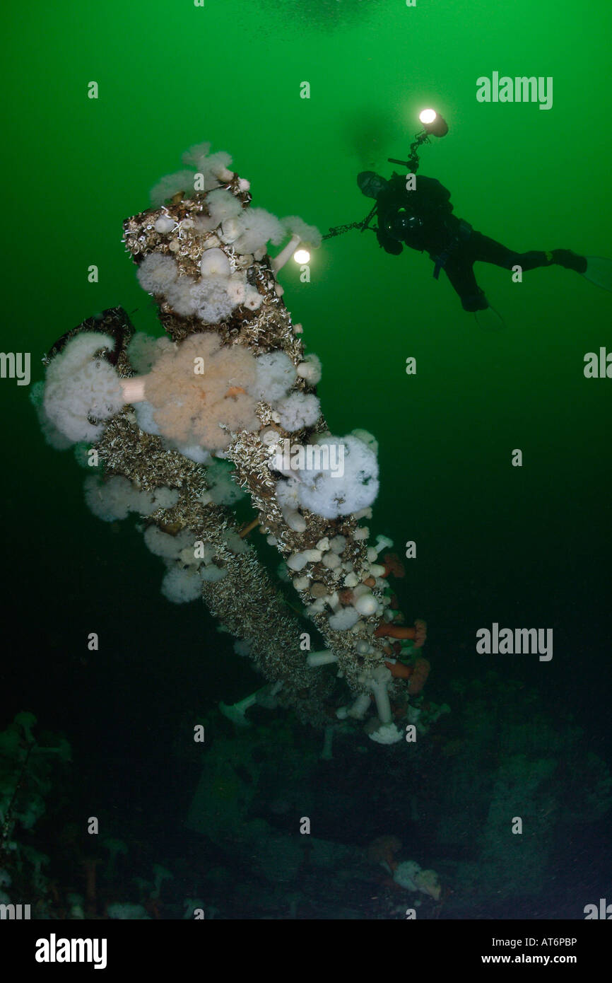 Hmcs saskatchewan hi-res stock photography and images - Alamy