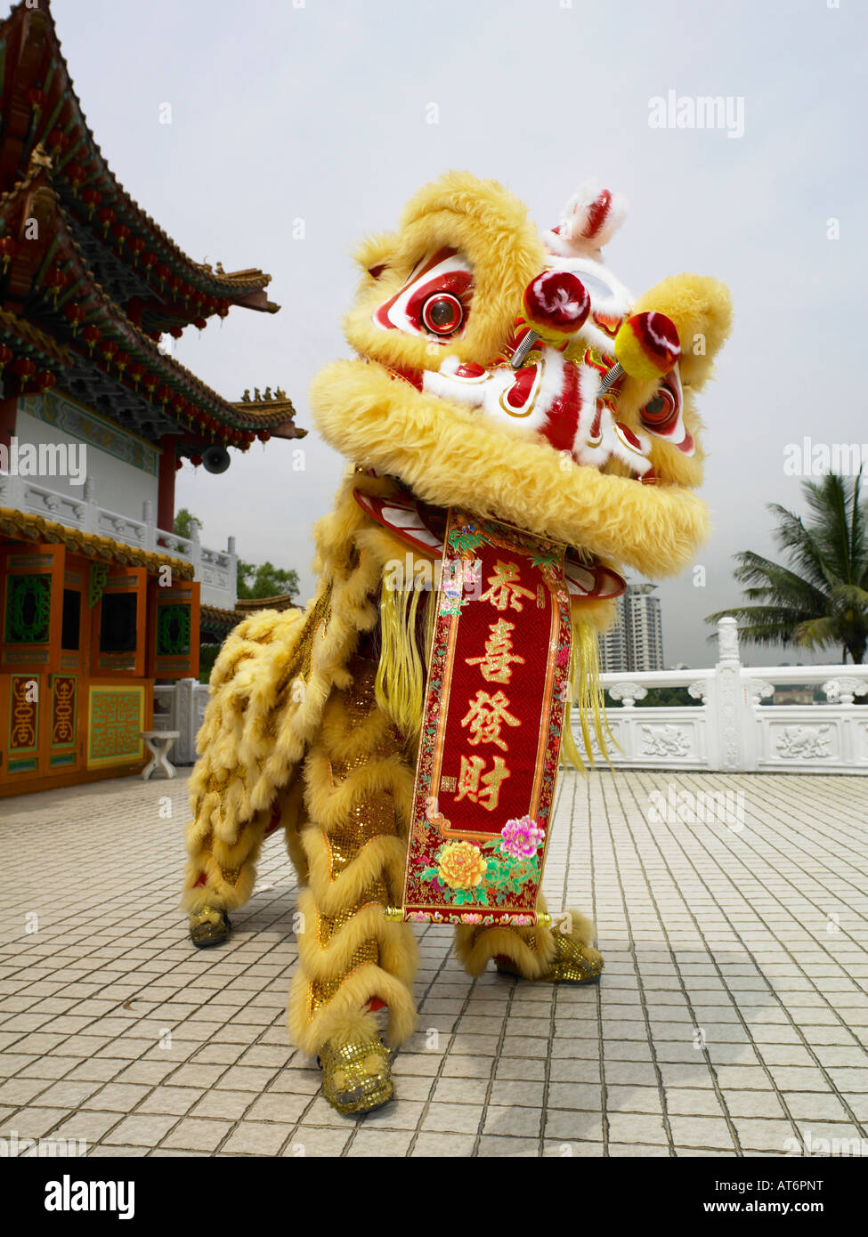 Lion dance performer chinese banner hi-res stock photography and images ...