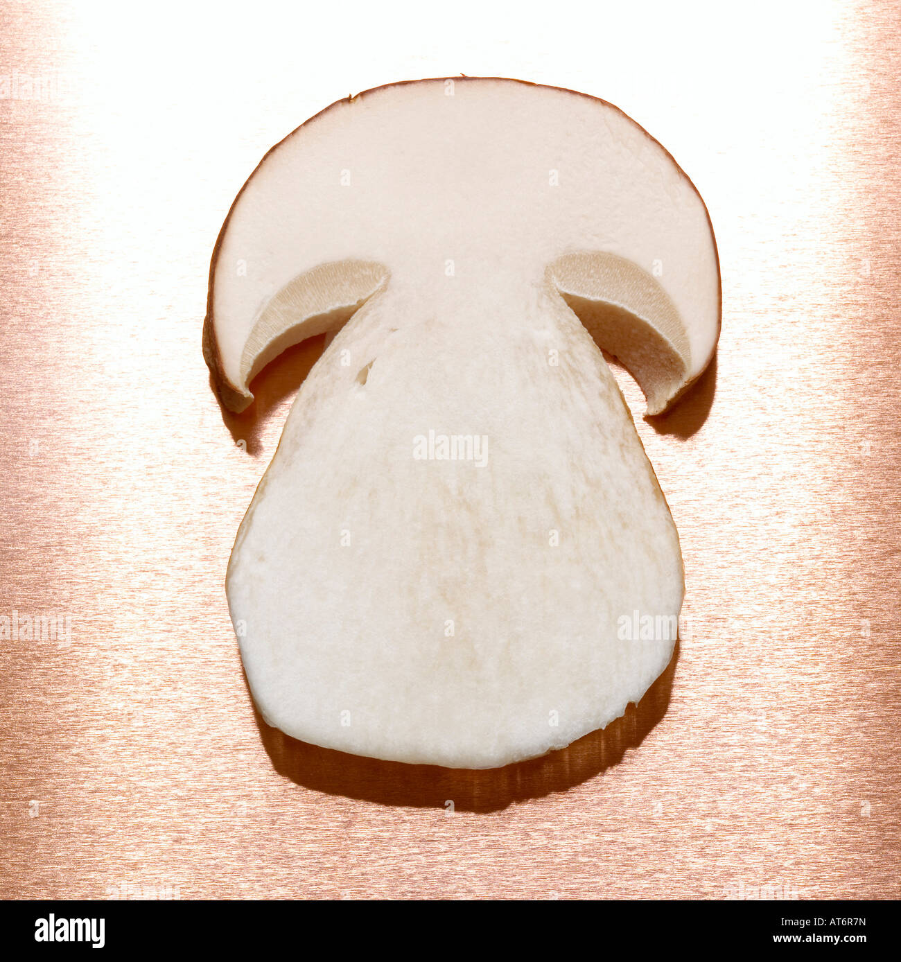 Close up cross section from hi-res stock photography and images - Alamy